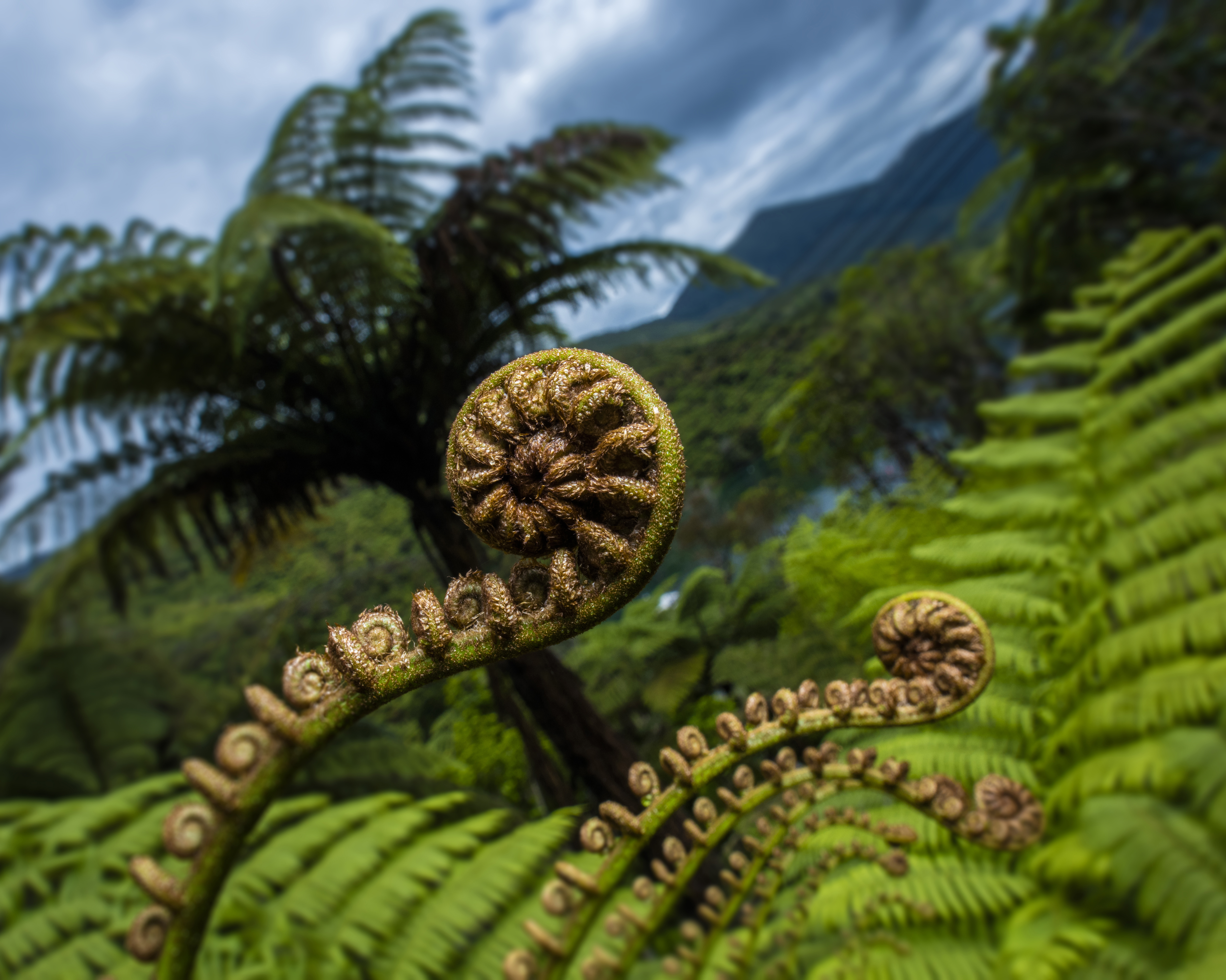 Punga Cove Accommodation and Dining - Marlborough Sounds, NZ