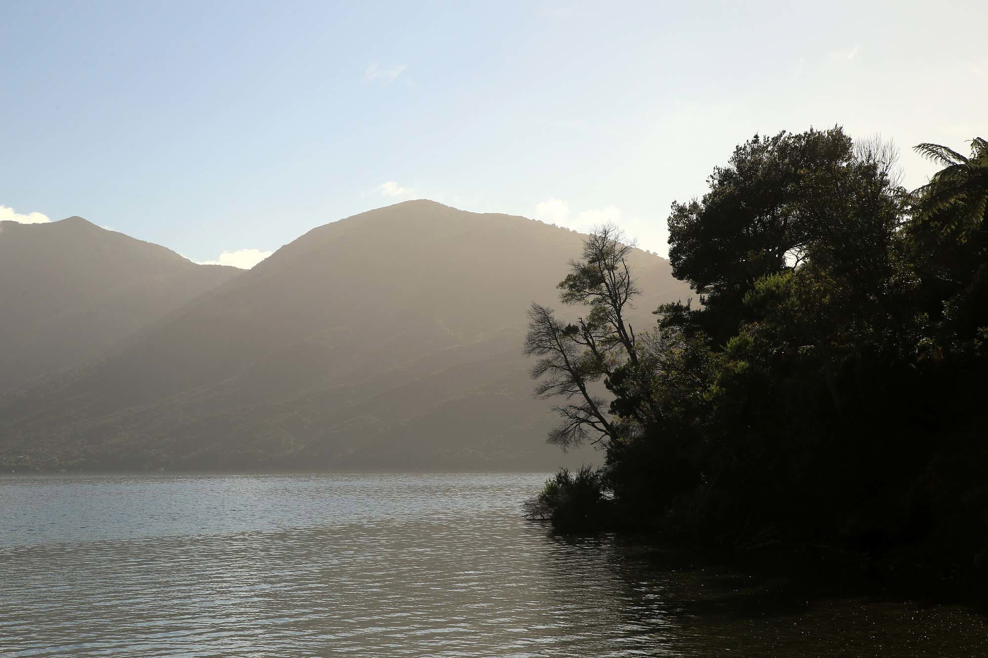 About the Marlborough Sounds - Punga Cove Resort
